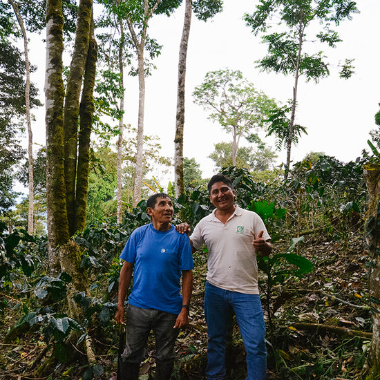 Why We Love Agronomists! - Coffee 101 | Level Ground Trading – Level ...