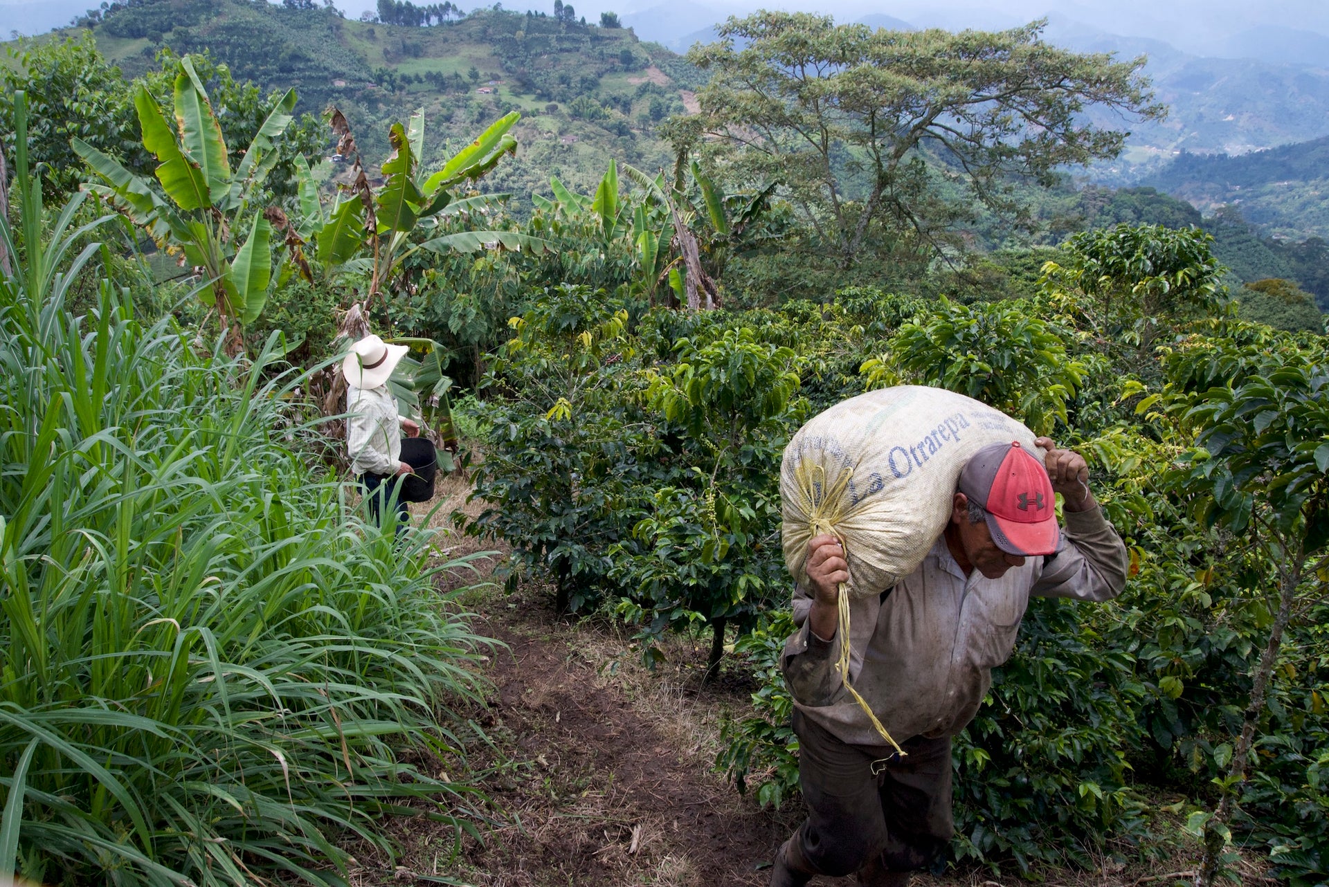 Collective Fair Trade – Level Ground Coffee Roasters