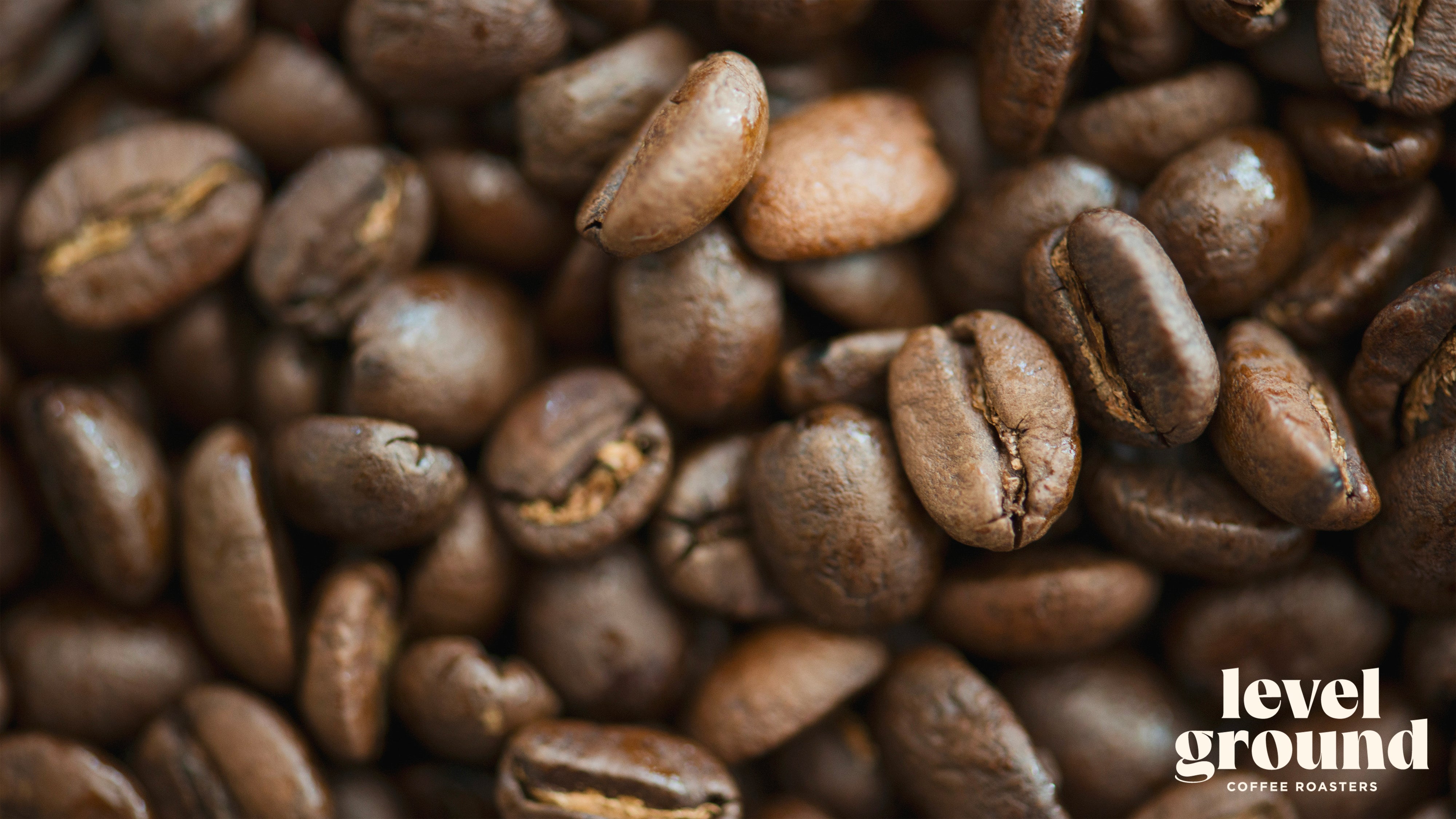 Level Ground - Coffee Roaster & Packager – Level Ground Coffee Roasters