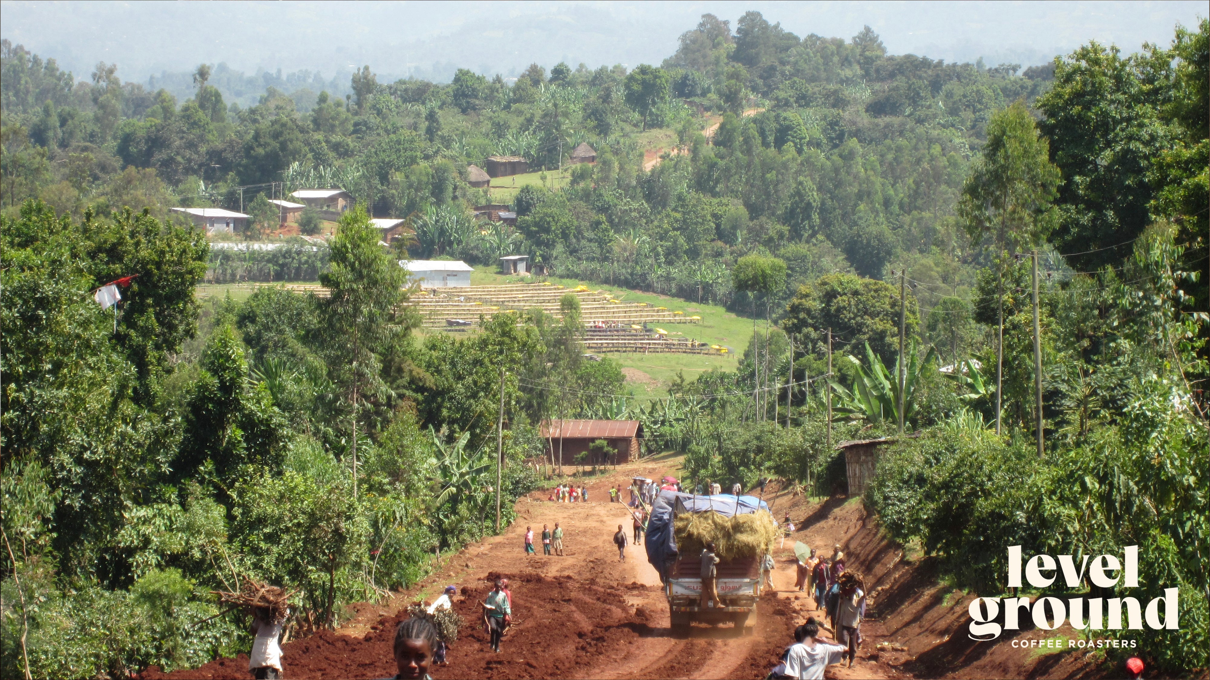 Level Ground - Coffee Roaster & Packager – Level Ground Coffee Roasters