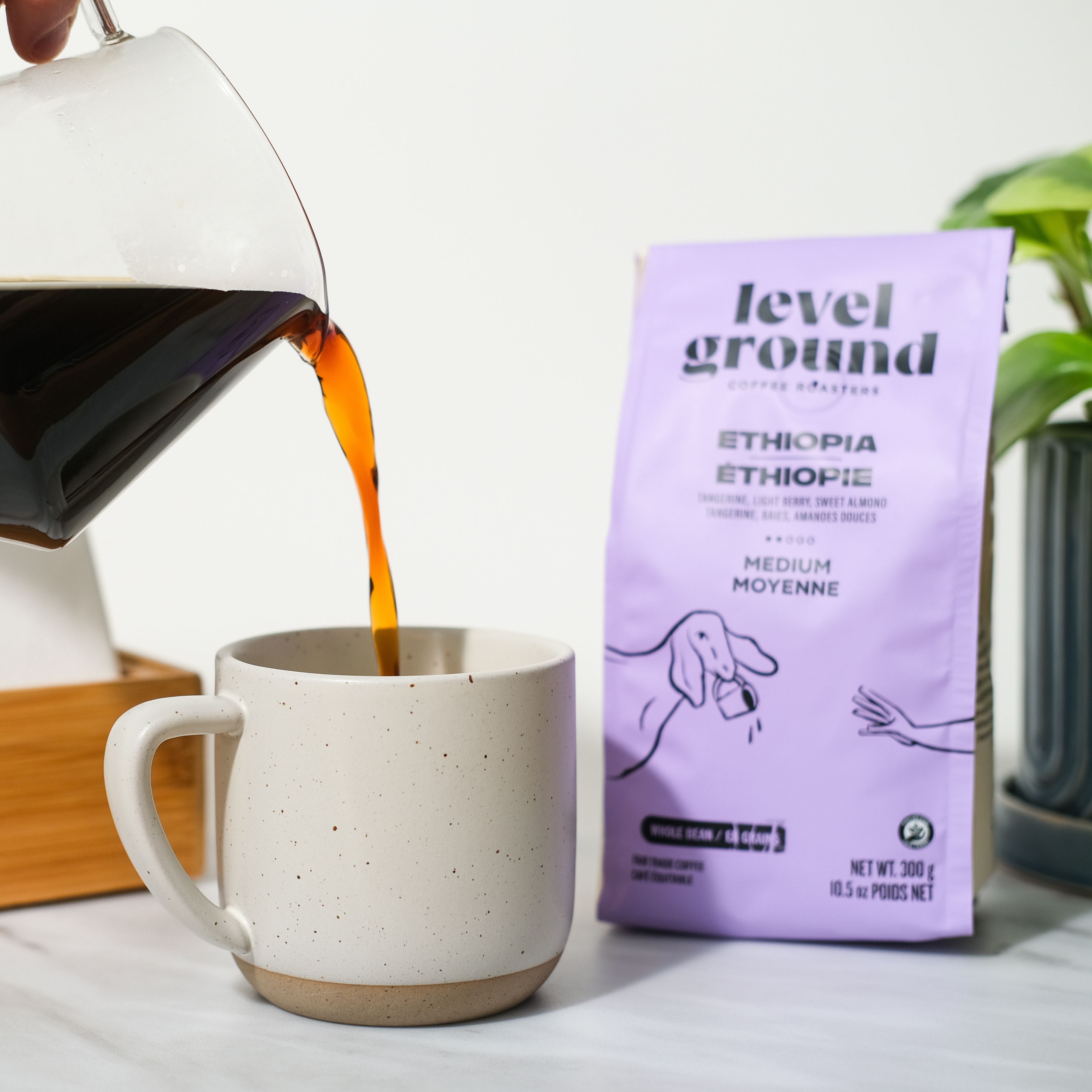 Level Ground Coffee Roasters - Victoria, BC