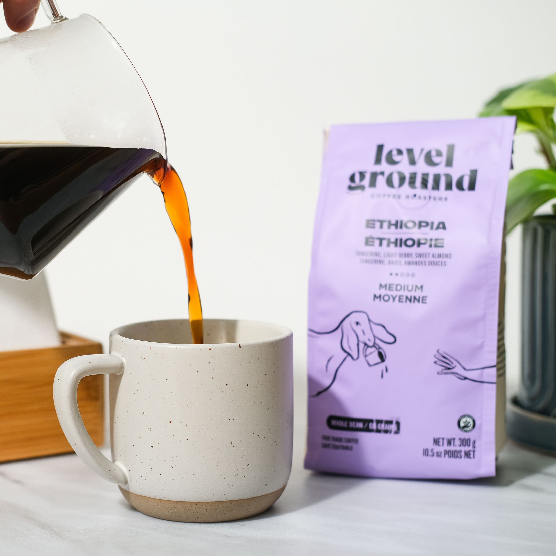 Level Ground Coffee Roasters - Victoria, BC