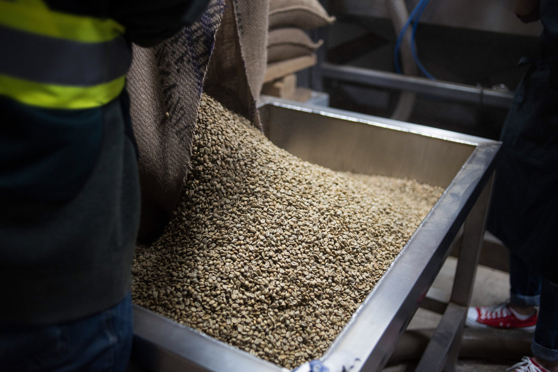 Level Ground Coffee Roasters - Victoria, BC